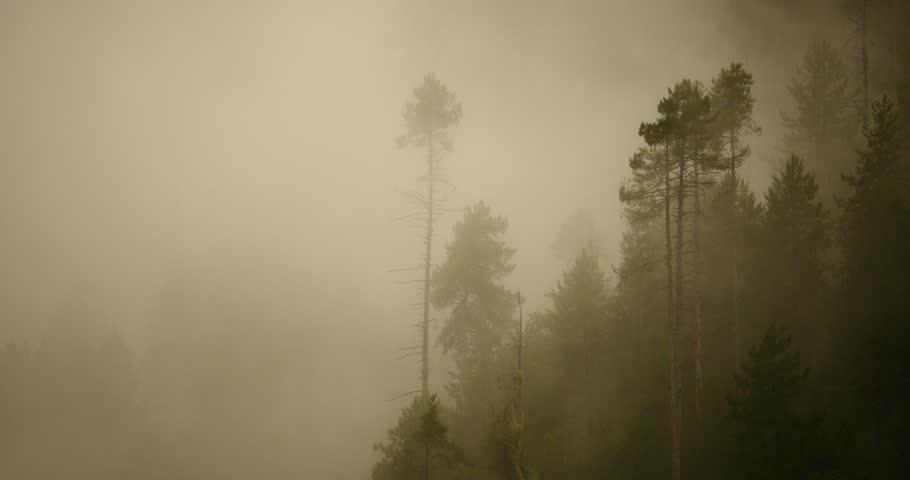 hurricane extremely strong wind heavy rain Stock Footage Video (100% ...