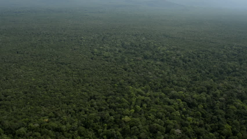 flying over amazon rain forest largest Stock Footage Video (100% ...