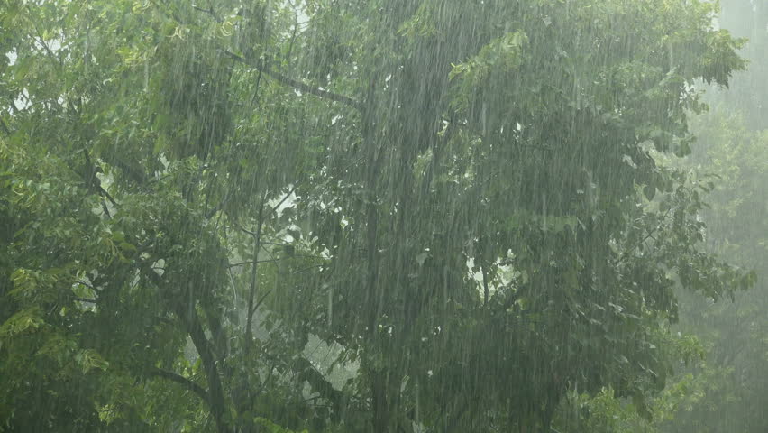 summer rain showers heavy rainstorm season Stock Footage Video (100% ...