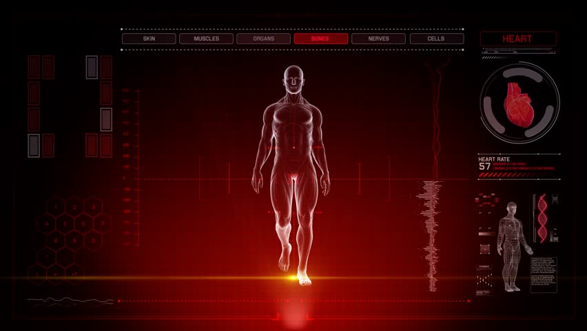 Human anatomy. X-ray scanning of the respiratory system of the male ...