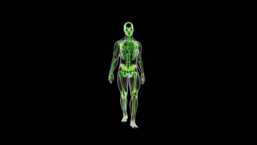 full body green glowing scan human : vidéo de stock (100 % libre de ...