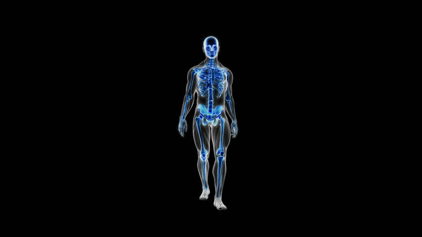 full body blue glowing scan human Stock Footage Video (100% Royalty ...