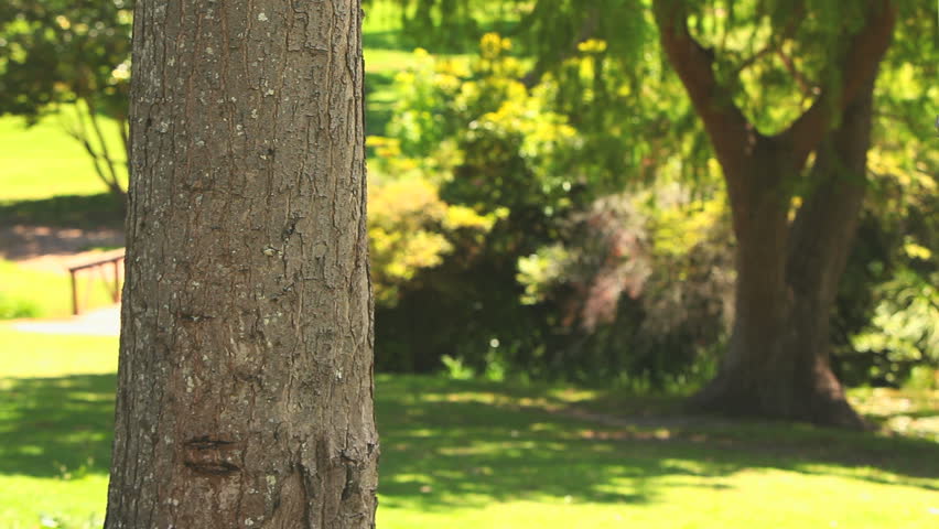 man resting against tree after sports Stock Footage Video (100% Royalty ...