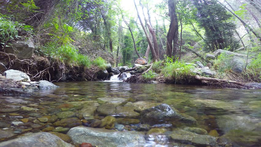 wild landscape clean water river flowing Stock Footage Video (100% ...