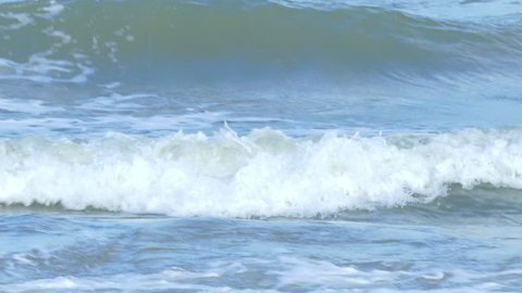 beautiful gentle southern right whale slapping Stock Footage Video (100 ...