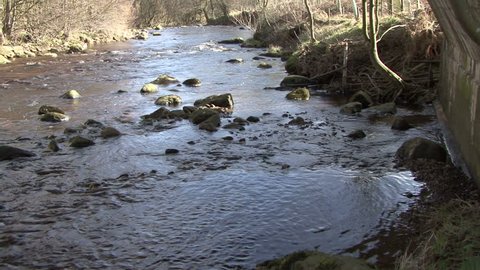 Arkle Beck Reeth Swaledale Flows Under Stock Footage Video (100% ...