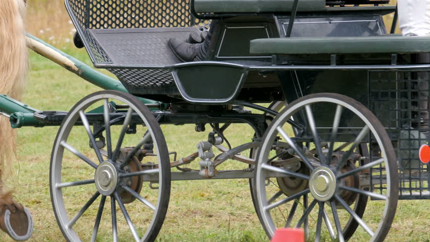 modern horse carriage running passengers there Stock Footage Video (100 ...