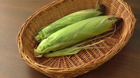 Bitter Melon Bitter Gourd On White Stock Photo 438096469 | Shutterstock