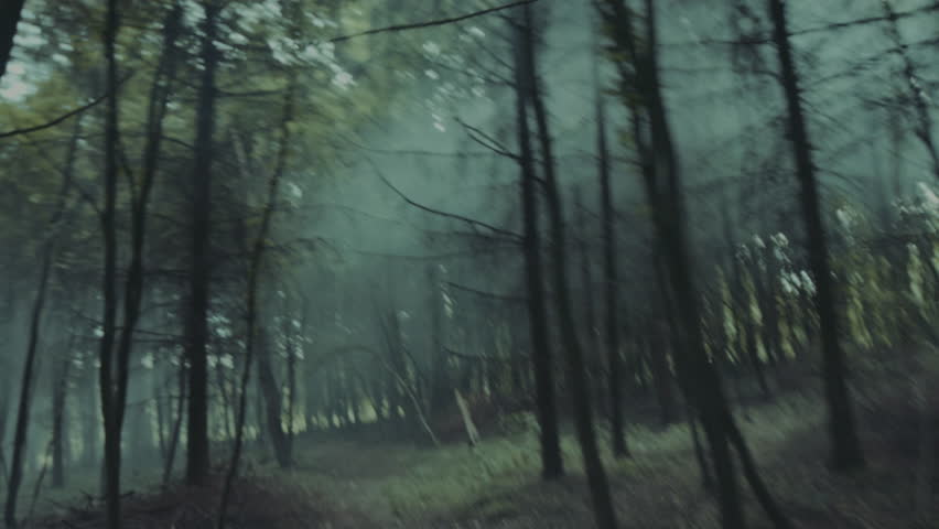 chased through foggy forest pov shot Stock Footage Video (100% Royalty ...