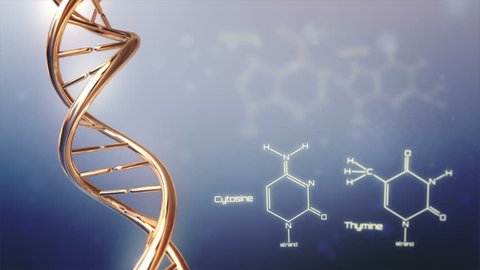 Genomic Analysis Animation Dna Genomes Sequencing Stock Footage Video ...