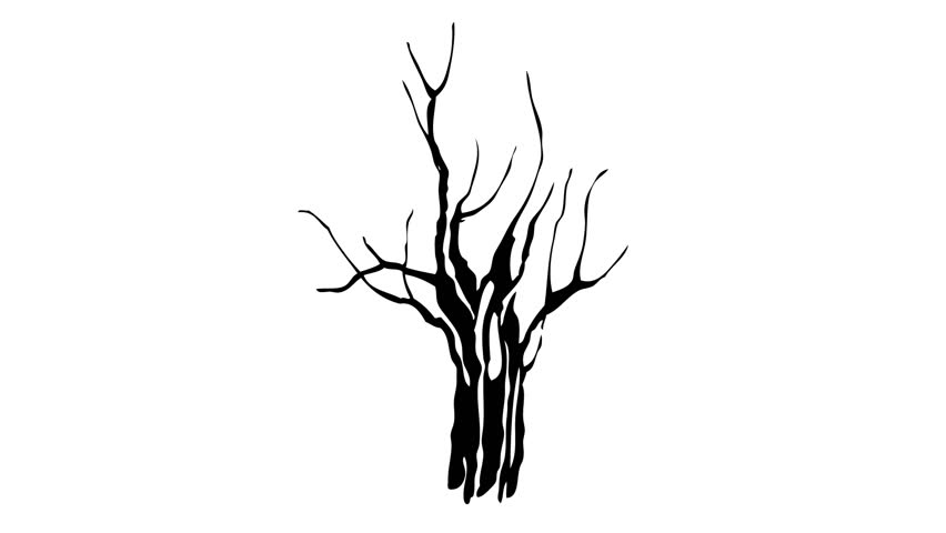 animated ink drawing twig black on Stock Footage Video (100% Royalty ...