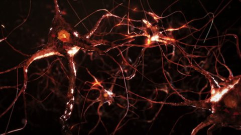 Neuron Cells Network Connections Orange Synapse Stock Footage Video ...
