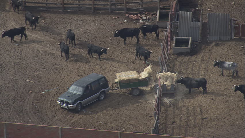 Aerial Spain-fighting Bull Ranch 2007: Stock Footage Video (100% ...