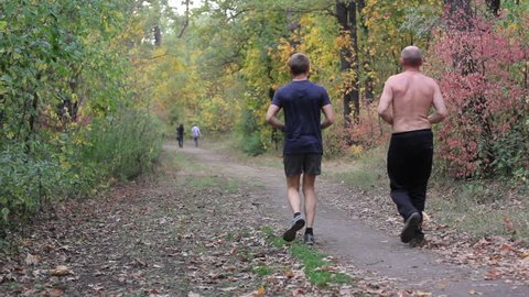 Two Mens Run Park Autumn Forest Stock Footage Video (100% Royalty-free ...
