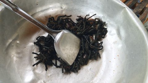 Ready Cooking Tarantulas Metal Basin Closeup Stock Footage Video (100% ...