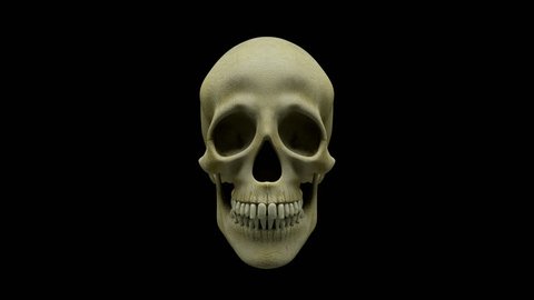 animation skull alpha channel Stock Footage Video (100% Royalty-free ...