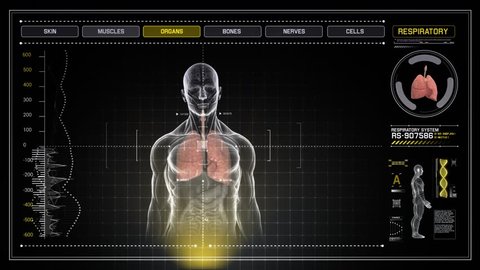 Medical Anatomy Scan Respiratory System Xray Stock Footage Video (100% ...