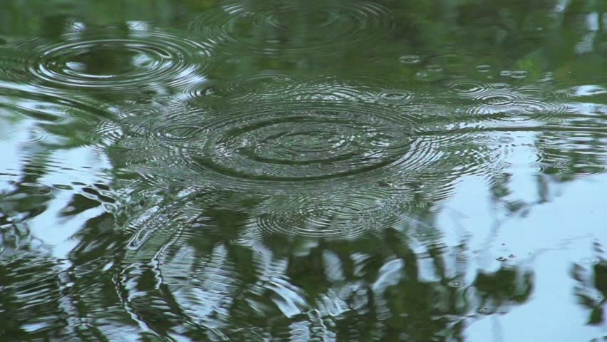 Pond Rain Ripple 스톡 동영상 비디오(100% 로열티 프리) 12060554 | Shutterstock