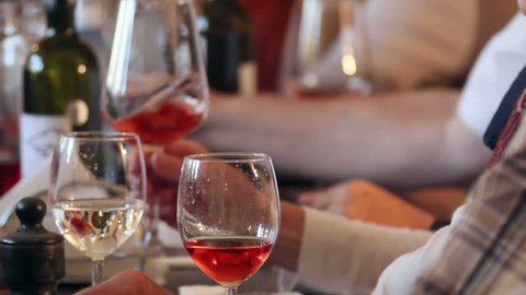 Group People Enjoying Wine Tasting Restaurant Stock Footage Video (100% ...