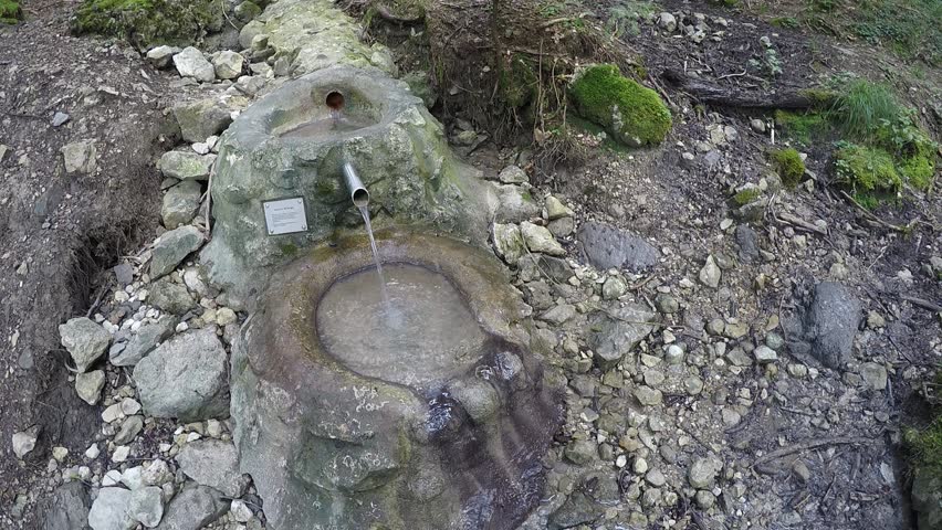 spring drinking water forest germany Stock Footage Video (100% Royalty ...