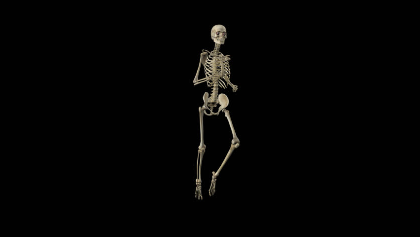 funny skeleton - running loop 03 Stock Footage Video (100% Royalty-free ...