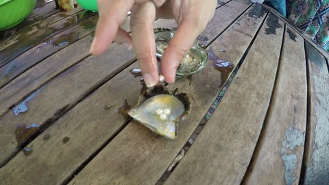 Pearl Farm Where Divers Dive Shells Stock Footage Video (100% Royalty ...