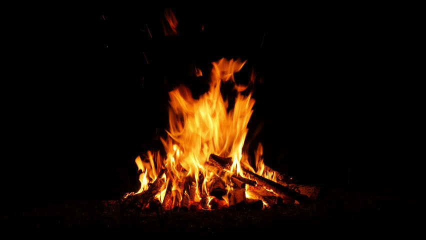 Campfire Camp Fire Summer Burning Firecampfire Stock Footage Video (100 ...