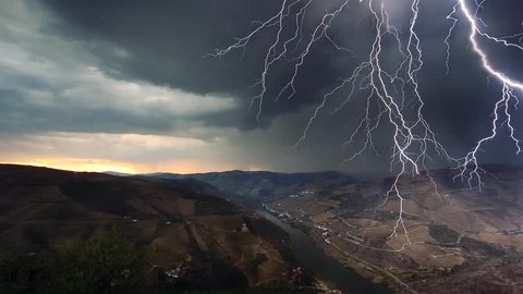 Cinemagraph Loop Bush Blowing Storm Winds Stock Footage Video (100% ...