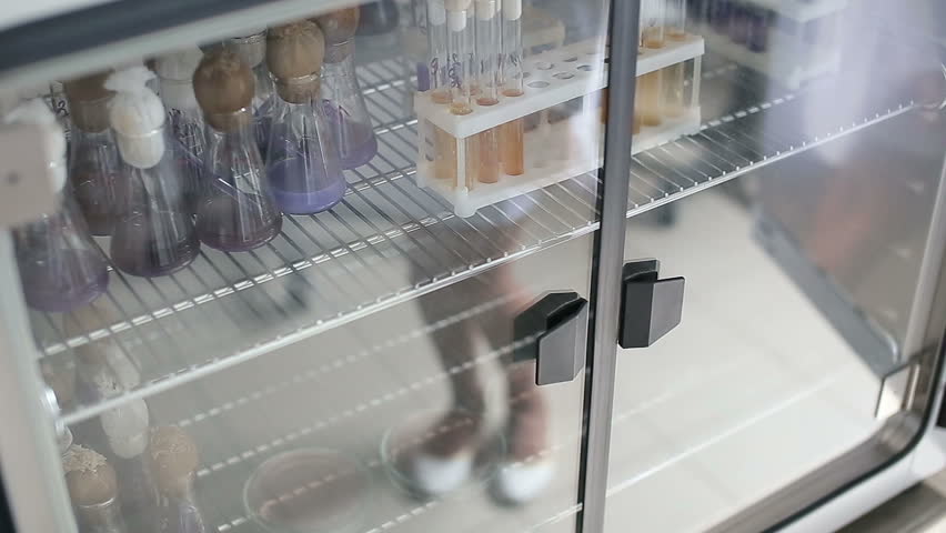 microbiology laboratory researching materials tubes Stock Footage Video ...