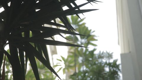 wind blows through open window room Stock Footage Video (100% Royalty ...