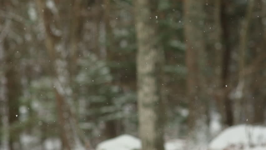 Gentle Snowfall Against a Snowy, Stock Footage Video (100% Royalty-free ...
