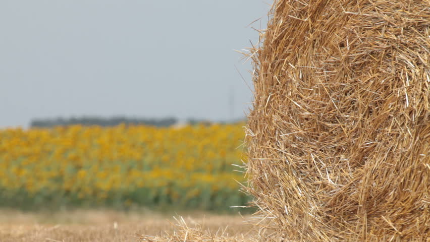 Hay Bales in the Background Stock Footage Video (100% Royalty-free ...