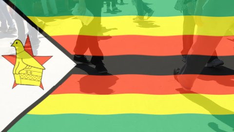Zimbabwe Flag Waving People Walking Background Stock Footage Video (100 ...