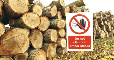 Wood timber recycling sign Stock Video Footage - 4K and HD Video Clips ...