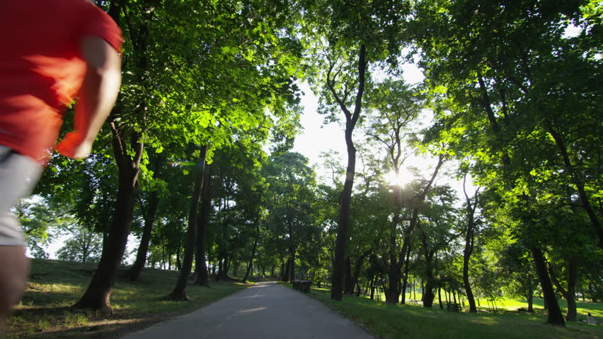 drift through peaceful morning bliss on Stock Footage Video (100% ...