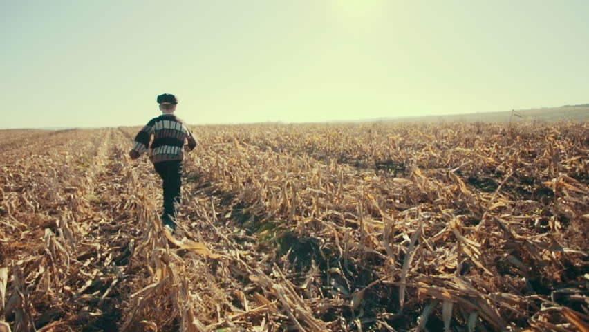 young boy running through corn field Stock Footage Video (100% Royalty ...