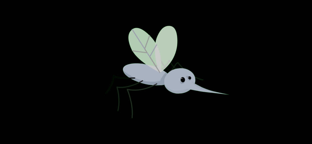 mosquito animated cartoon great piece stock Stock Footage Video (100% ...