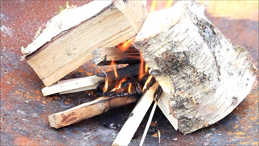 burning birch wood renewable resource energy Stock Footage Video (100% ...