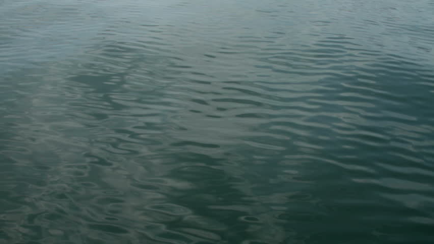 Bobbing up and Down with Stock Footage Video (100% Royalty-free ...