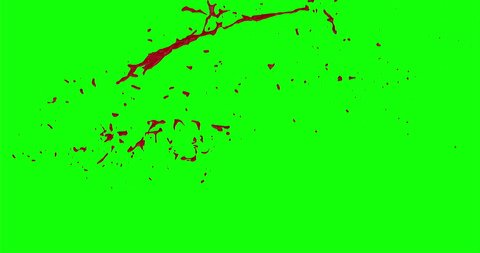 Chroma Keying Effect Blood Drops Splattering Stock Footage Video (100% ...