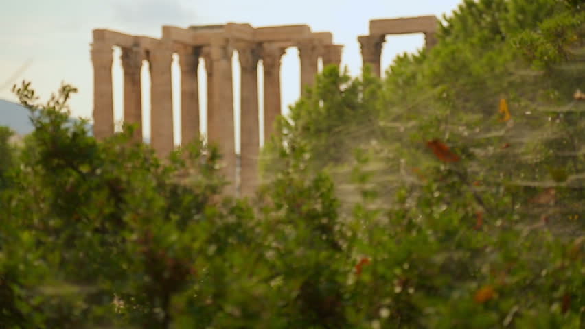 Roman spider Stock Video Footage - 4K and HD Video Clips | Shutterstock