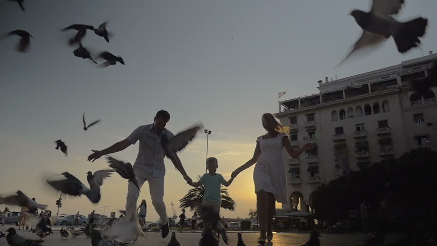 Laughing pigeon Stock Video Footage - 4K and HD Video Clips | Shutterstock