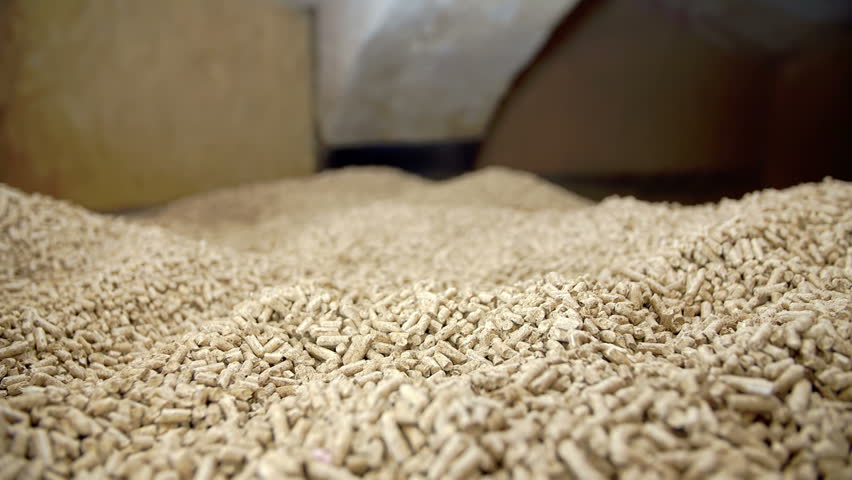 Pelet Stock Video Footage - 4K and HD Video Clips | Shutterstock