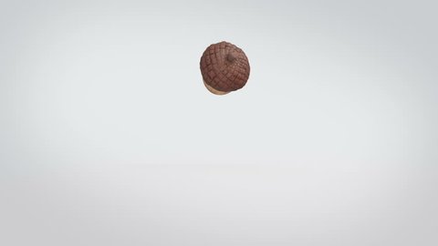 slow motion coconut explosion splashes milk Stock Footage Video (100% ...