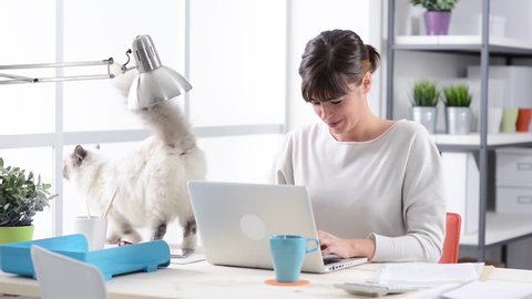 Woman Working Home Laptop Cuddling Her Stock Footage Video (100% ...