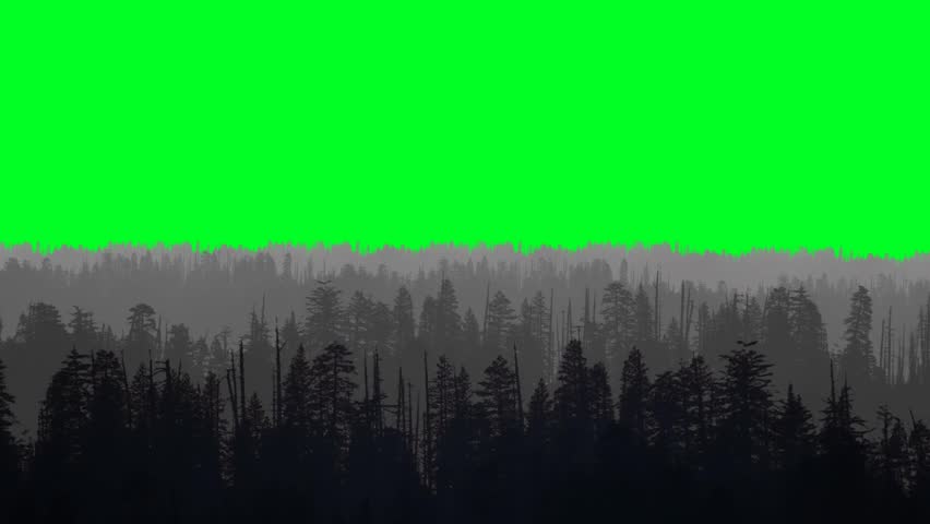 huge animated forest on green screen Stock Footage Video (100% Royalty ...