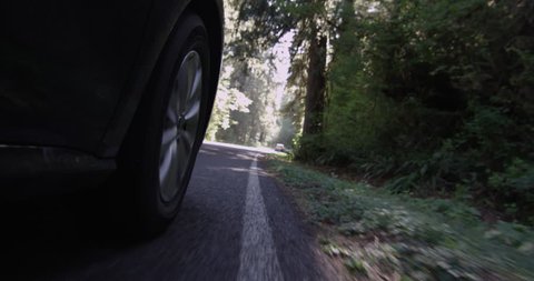 Car Driving Forest Stock Footage Video (100% Royalty-free) 13146560 ...