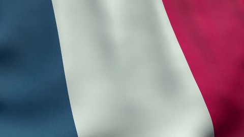 Seamlessly Loopable Waving French Flag Animation Stock Footage Video ...
