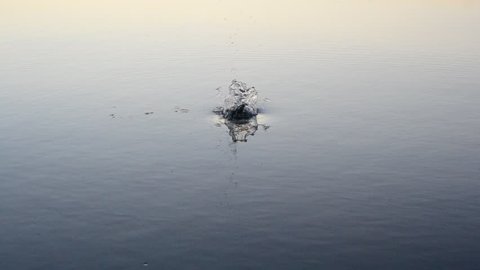 Stone Falls Into Water Plopping Producing Stock Footage Video (100% ...