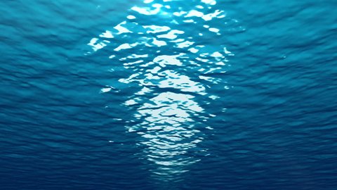 Underwater Marine World Reflective Blue Water Stock Footage Video (100% ...